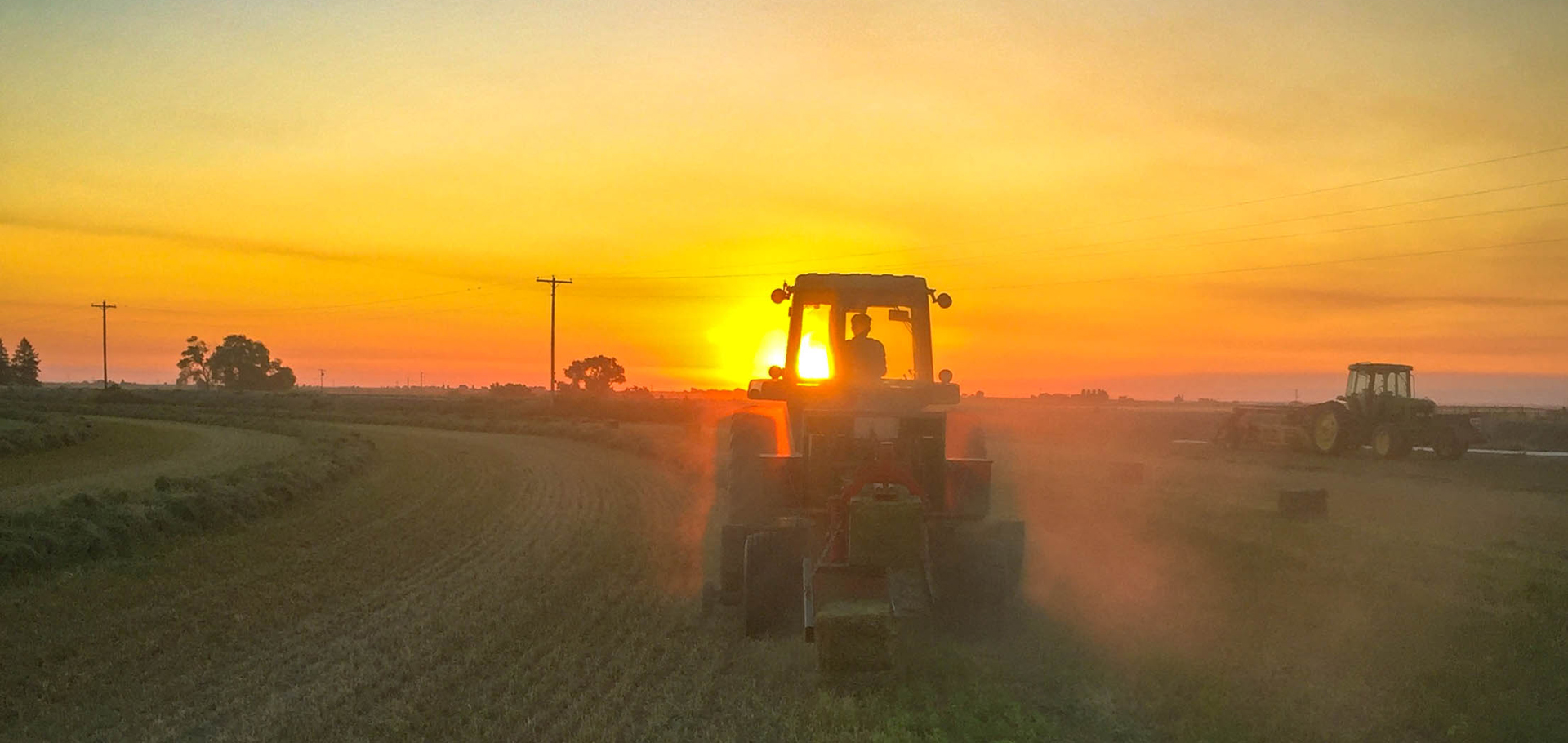 Agri-Pac-Premium-Quality-Hay-sunset | Agri-Pac